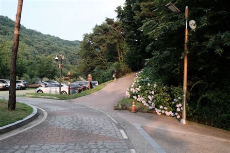 울산 작천정 별빛야영장 계곡 캠핑후기 네이버 블로그