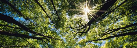 Extra Financial Performance Statement Damartex