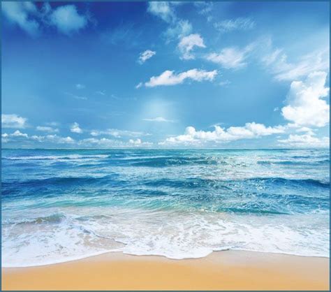 Фотообои Vostorg А 013 Море 294х260см - купить по выгодной цене в ...