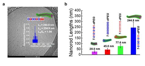 Encoding Precision Polymeric Amphiphiles For Direct Ms Decoding And Label Free Quantification