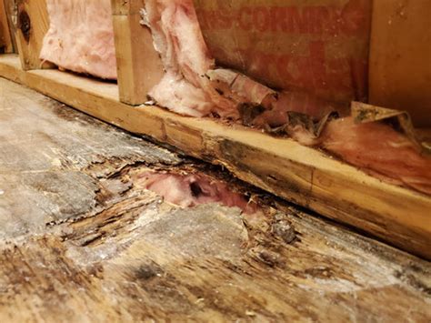 Subfloor Replacement Under Wall Do I Really Have To