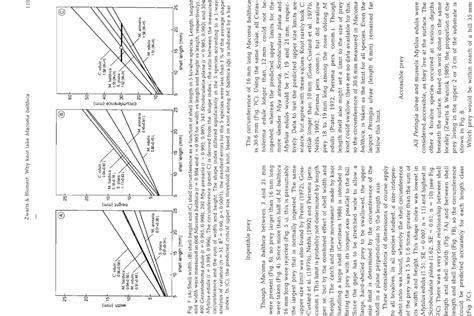 (A) Shell width. (B) shell height and (C) shell circumference as a ...