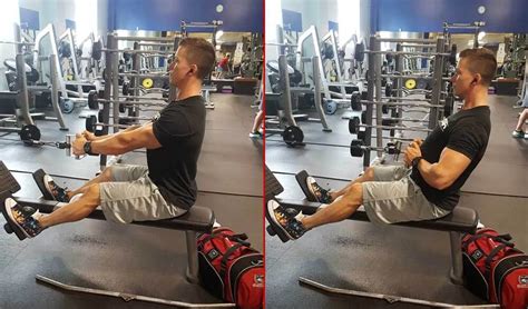 Back Rows Exercise Adam Pfau Cable Rows Are One Of The Most Popular