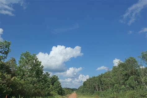 Mengenal Sesar Semangko Pemicu Gempa Besar Di Pulau Sumatra