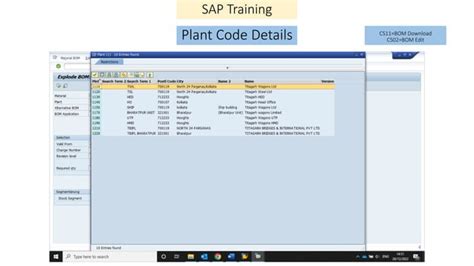 sap training pptx free download
