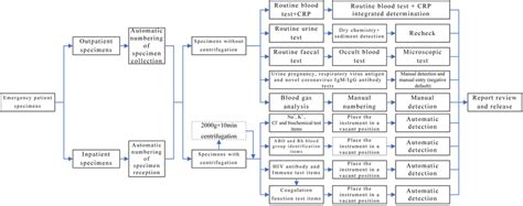 Emergency Laboratory Test Workflow After IT Based Optimisation Download Scientific Diagram