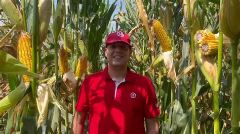 Mustafa YalÇin Posted On Linkedin