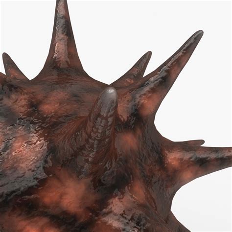 3d Model Virus Set Color 3