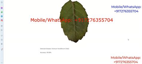 Types Of Medicinal Leaf Recognition Using Image Processing Python Project With Source Code