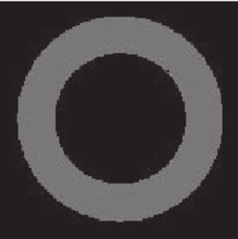 Example Of Synthetic Test Image Download Scientific Diagram