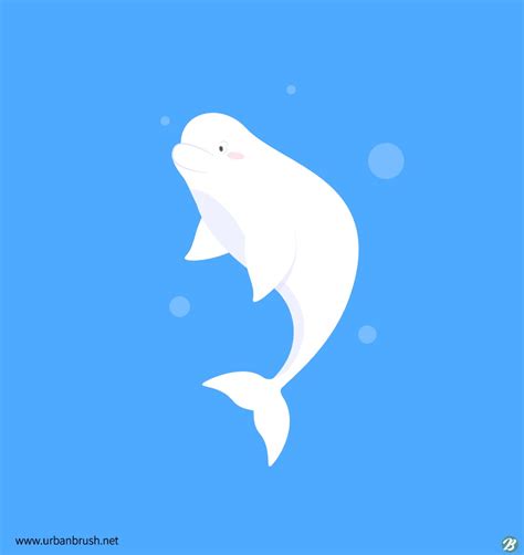 벨루가 일러스트 Ai 무료다운로드 Free Beluga Illustration 어반브러시