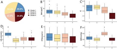 Classification Of Elderly Patients With Comorbidities And Their Subtyp