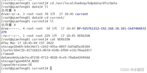 Hadoop的datanode没有启动datanode没启动会有什么影响 Csdn博客