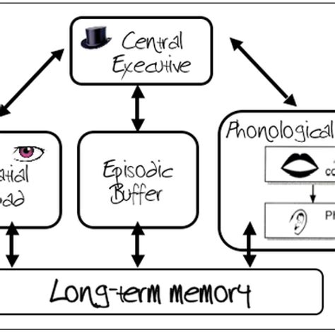 The Working Memory Model Baddeley And Hitch 1974 Psychology Hub