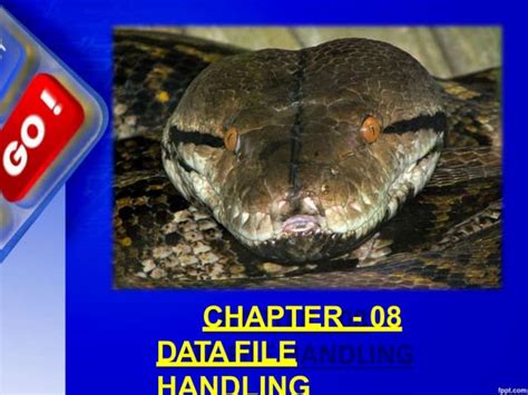 Dfh Pdf Convertedpptx