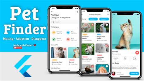 Pet Finder App With Flutter Firebase Hasura