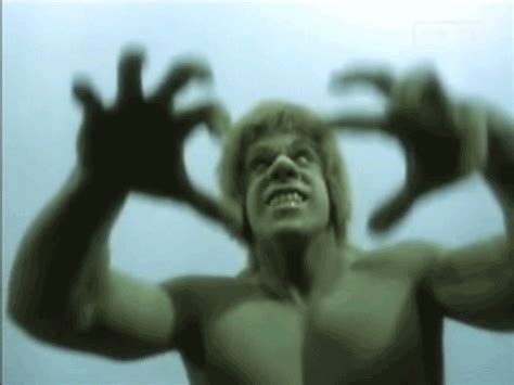 Lou Ferrigno Hulk 