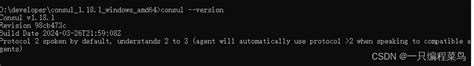 springcloud之consul springcloud consul csdn博客