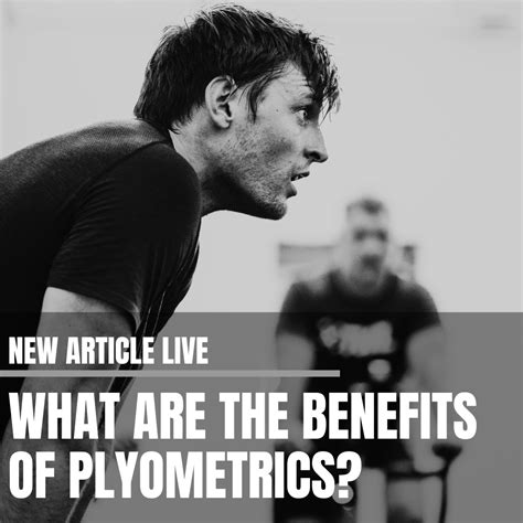 Plyometrics The Ultimate Guide Built Strength