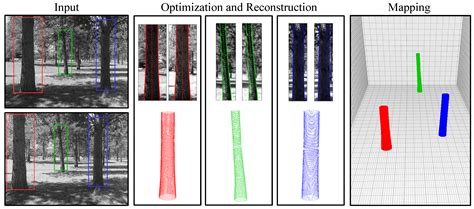 Forests Free Full Text A Deformable Shape Model For Automatic And Real Time Dendrometry