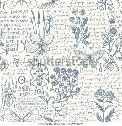 Butterfly Sketch Drawing In Gray Pencil лицензируемые стоковые