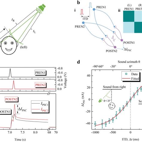 Sound Azimuth Detection By Spatiotemporal Processing A Schematic Download Scientific Diagram