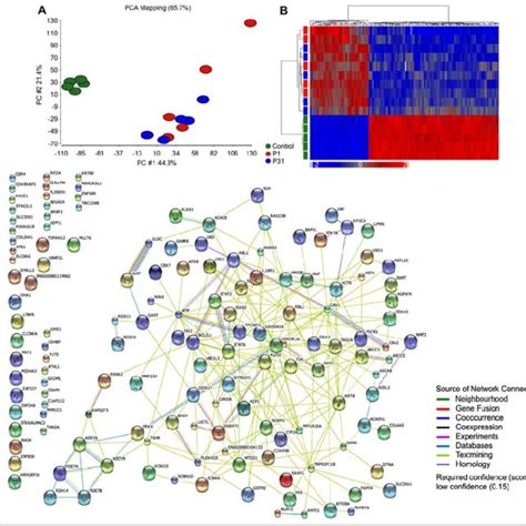 Microarray Analysis A Pca Mapping Over 12542 Expressed Probes The