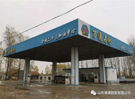 3月15日拍卖山东成武2座加油站整体资产 标的 公司 保证金