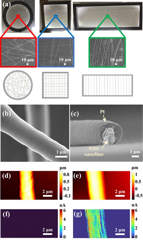 Topologies Of The Cs Nf Networks And Characterization Of A Pt Coated Download Scientific