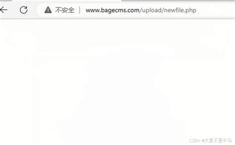 cms网站系统分析（74cms 、bagecms、yccms 漏洞测试） csdn博客