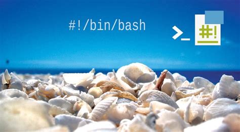 Basic Linux Shell Scripting For Devops Engineers Moiz Asif