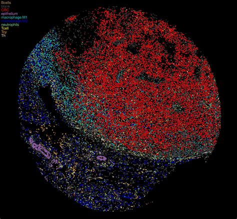 Tumor Microenvironment Tme Analyses Innoser