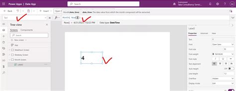 Powerapps Today Now Day Month Year Hour Minute And Second