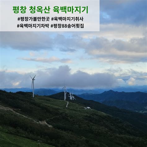 평창 육백마지기 팁 취사 날씨 근처 식당 추천 주차장 네이버 블로그