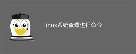 Linux系统查看进程命令 美云