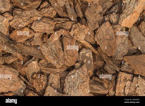 Small Decorative Pieces Of Dry Tree Bark Brown Color Natural Background Texture Stock Photo Alamy