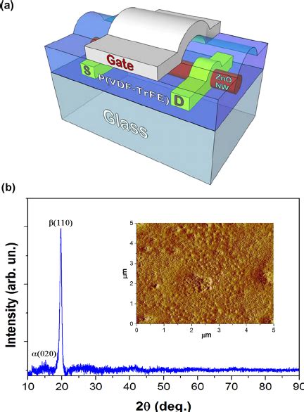 A A 3d Schematic Representation Of The Ferroelectric Non Volatile Download Scientific Diagram
