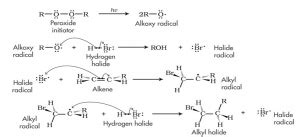 FAQ S Anti Markovnikov Addition Reaction JEE Class 11 12