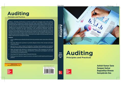 pdf auditing principles and practices