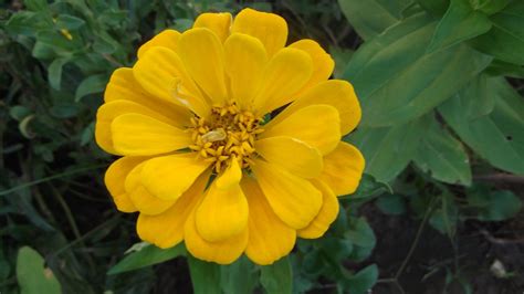 닛산 Imx 콘셉트의 혁신적인 디자인 살펴보기 쿨스타