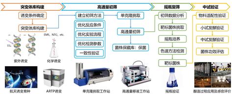 Biofoundry And Its Industrial Application