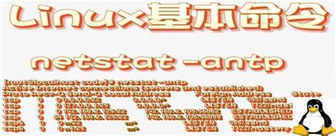 linux必会基础命令 netstat命令 知乎