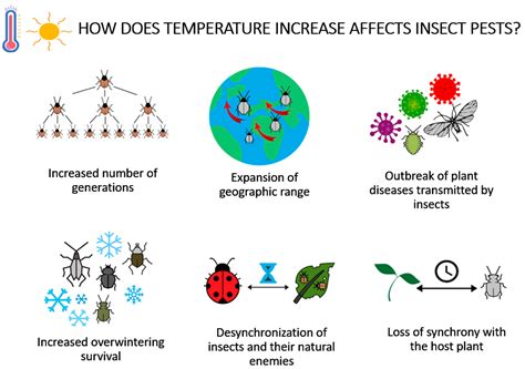 Global Warming Insects