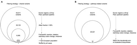 filtering strategies for the identification of candidate mutations