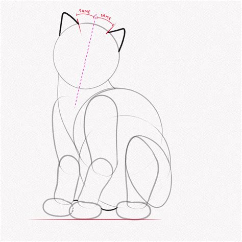 How To Draw A Realistic Cat Body How To Draw A Realistic Cat Body
