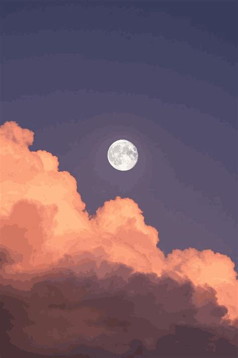 Github Roma Glushkoimage Color Clustering