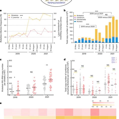 Strong Correlation Between Dynamics Of Pathogen C Javanica And
