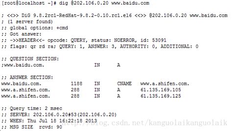 Linux命令dig，使用指定dns服务器查询域名dig命令 指定ip Csdn博客