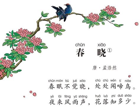 春眠不觉晓处处闻啼鸟全诗意思及赏析 古文学习网