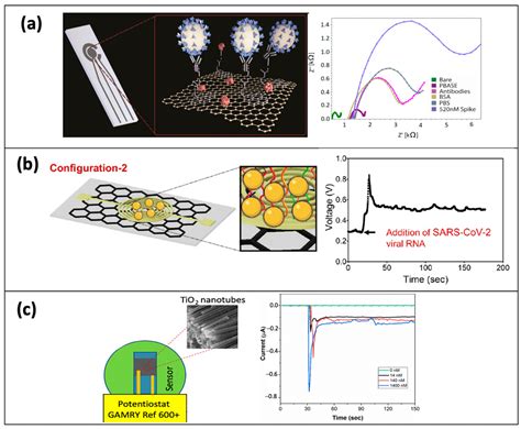 Utilizing Electrochemical Based Sensing Approaches For The Detection Of Sars Cov 2 In Clinical
